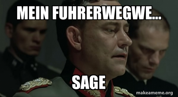 Mein Fuhrerwegwe... sage - Mein Fuhrer Meme Generator