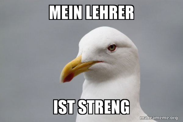 mein Lehrer IST STRENG - Stuff That Didn't Happen Seagull Meme Generator