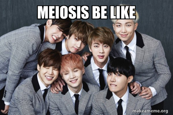 Meiosis be like - K-Pop Band BTS (Bangtan Boys) Meme Generator