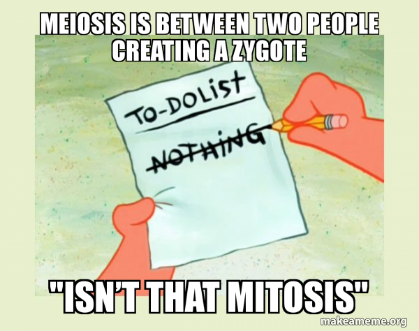 Zygote Memes Biology Memes: Over 196 Royalty Free Licensable Stock ...