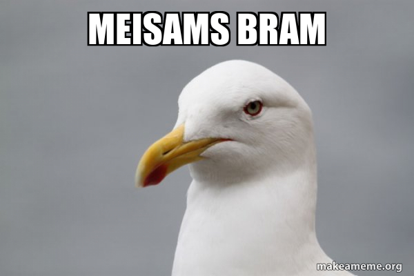 meisams bram - Stuff That Didn't Happen Seagull Meme Generator