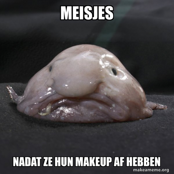 meisjes nadat ze hun makeup af hebben - Blobfish Meme Generator
