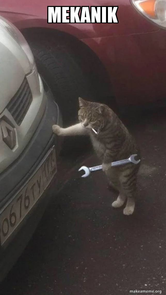 mekanik - Mechanic Cat Meme Generator