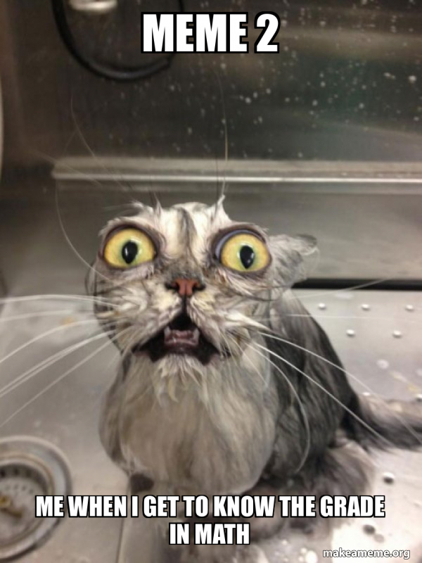meme 2 me when i get to know the grade in math - Cat bath Meme Generator