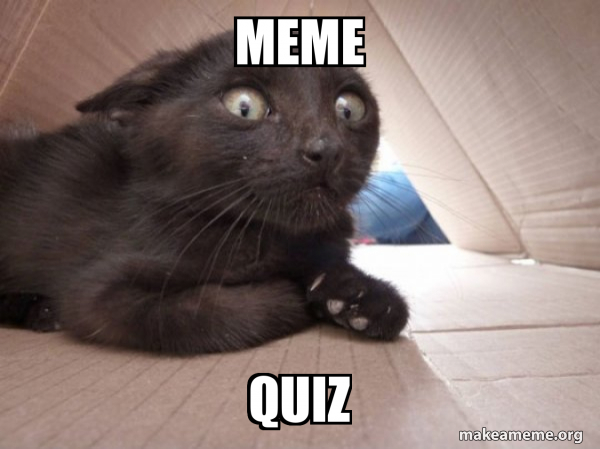 meme quiz - Schitzo Cat Meme Generator