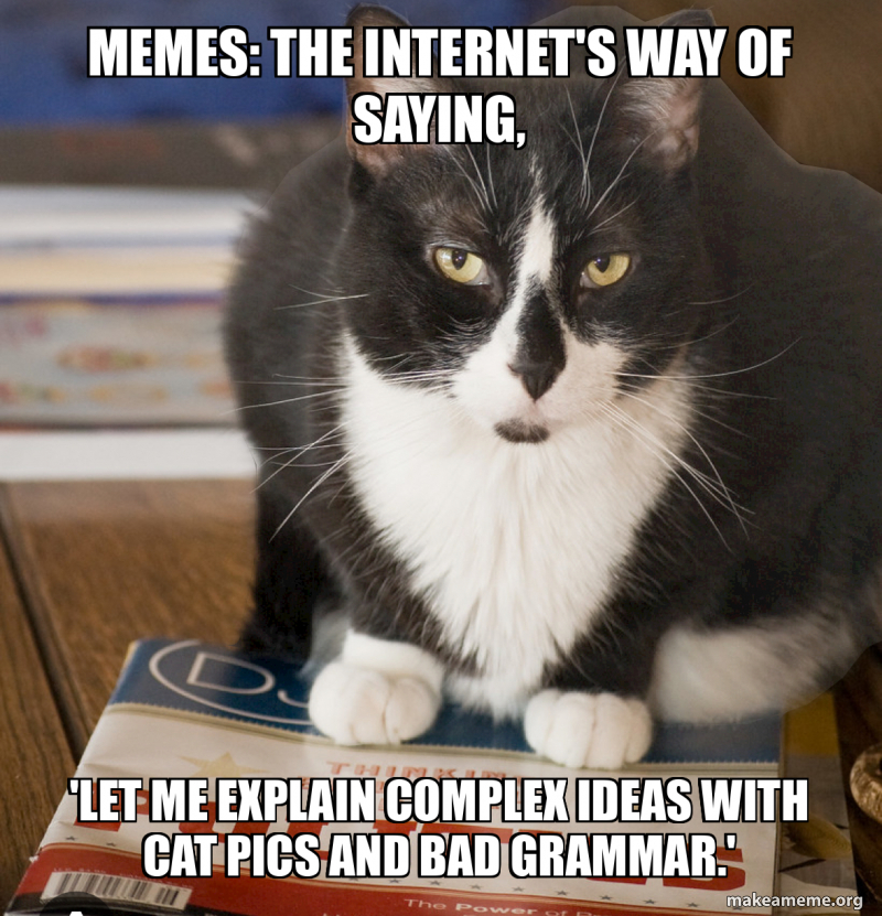 Memes: The internet's way of saying, 'LET ME EXPLAIN COMPLEX IDEAS WITH ...