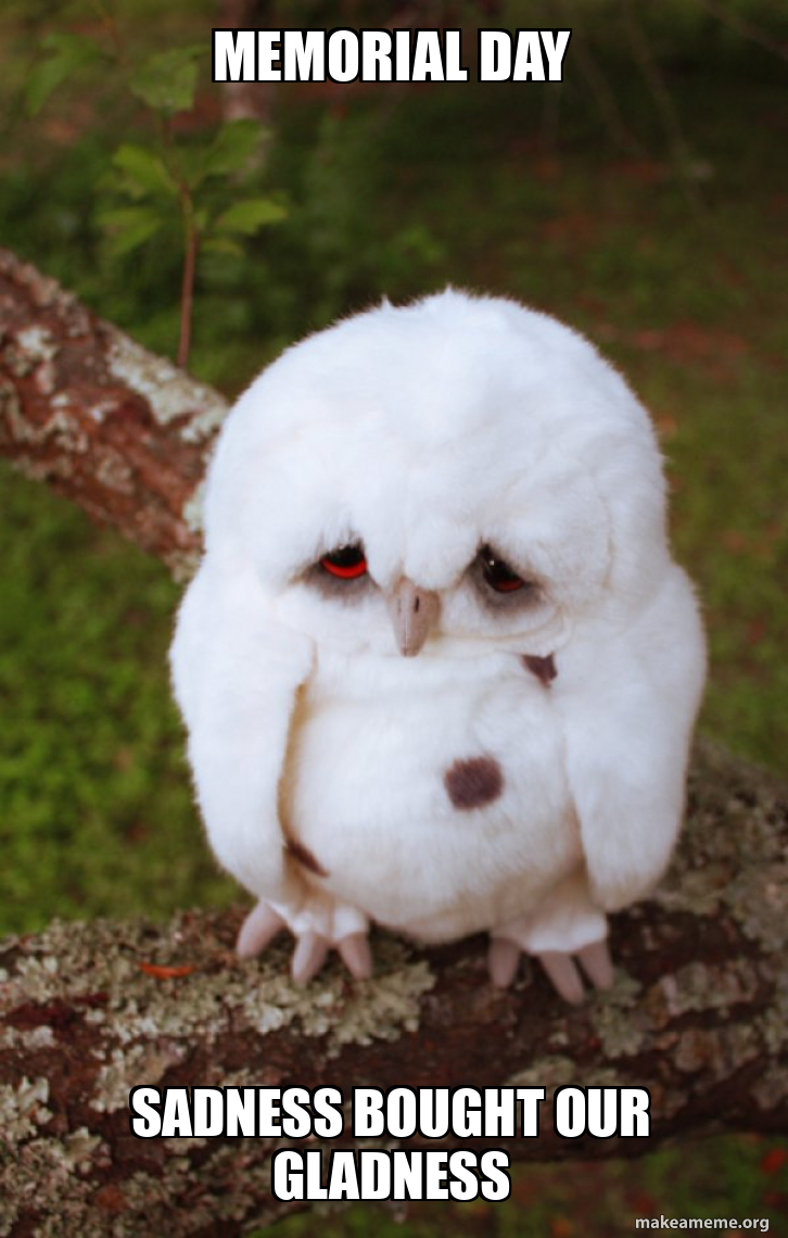 memorial day sadness bought our gladness - Sad Owl Meme Generator