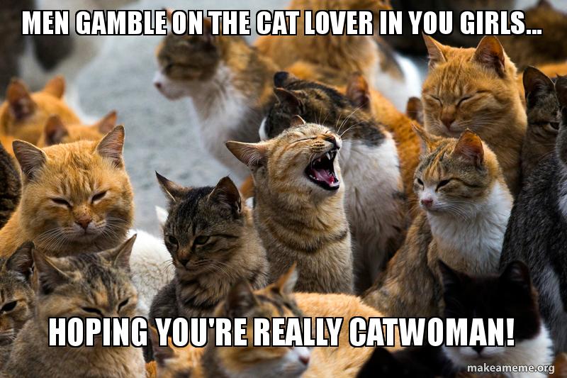 Men Gamble on the Cat Lover in You Girls... Hoping You're really ...