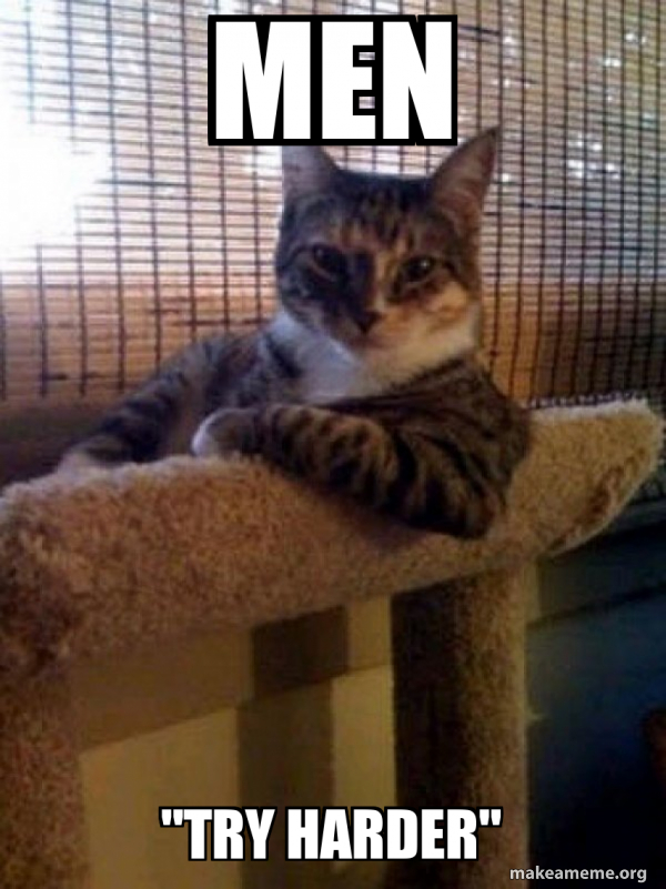 Men "Try harder" - The Most Interesting Cat in the World Meme Generator