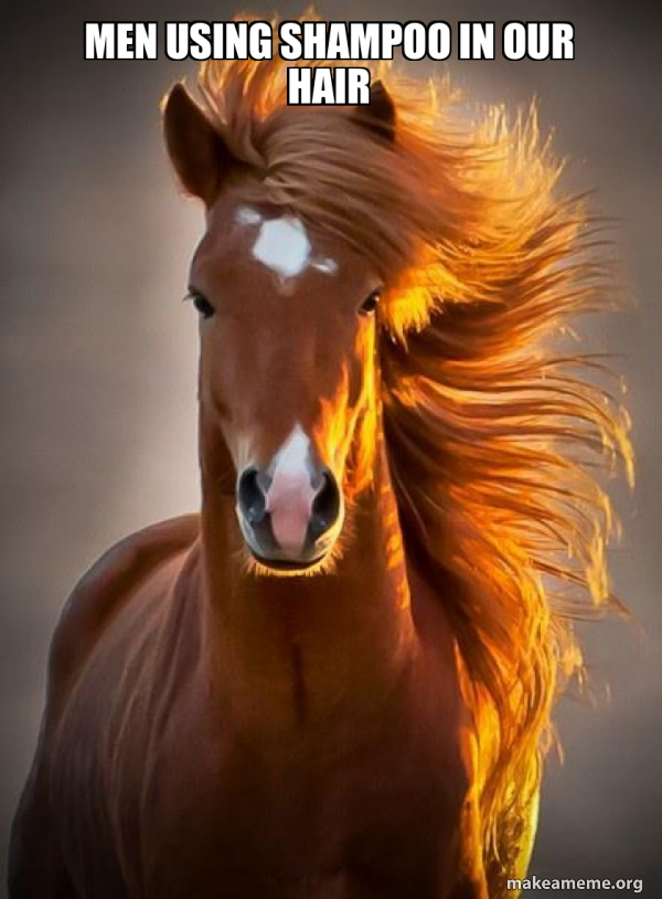 men using shampoo in our hair - Ridiculously photogenic horse Meme ...