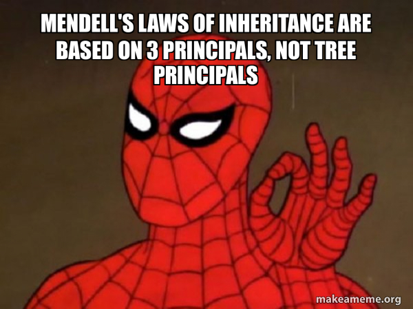 Mendell's laws of inheritance are based on 3 principals, not tree ...