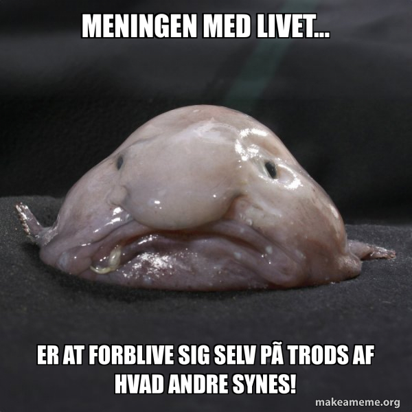 Meningen med livet... Er at forblive sig selv på trods af hvad andre ...