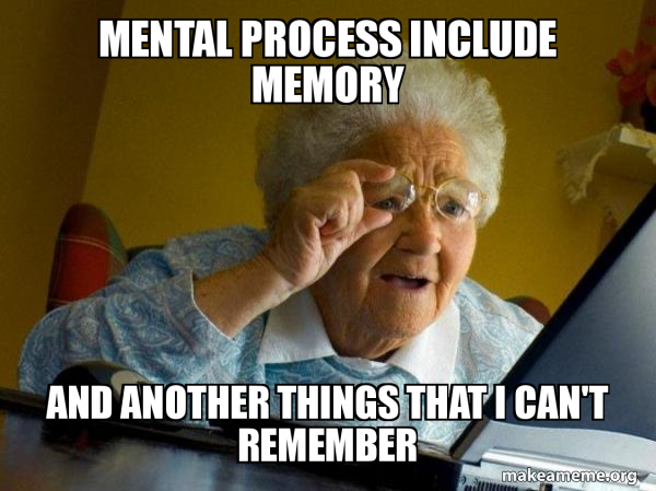 mental process include memory and another things that i can't remember ...