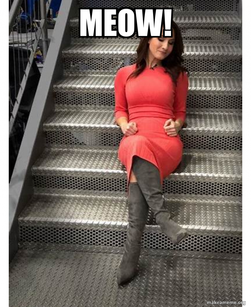 Meow! Meme Generator