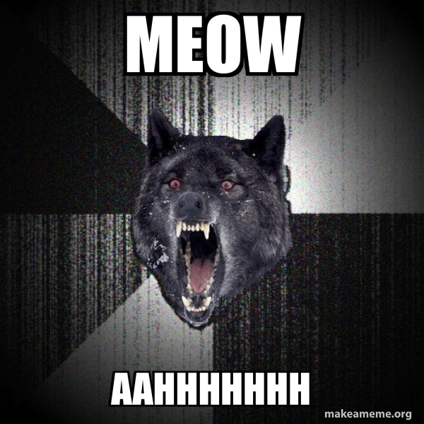 meow aahhhhhhh - Insanity Wolf Meme Generator