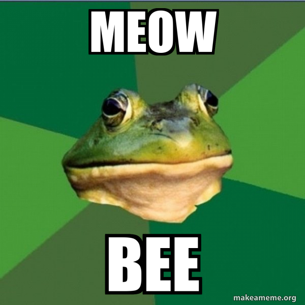 meow bee - Foul Bachelor Frog Meme Generator