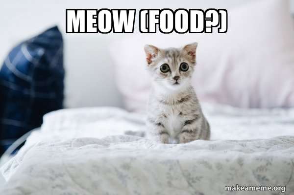 Meow (Food?) - Cute Kitten Meme Generator