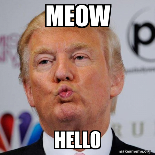 meow hello - Donald Trump Kissing Meme Generator