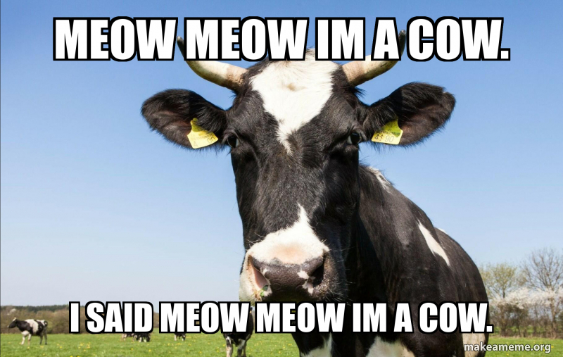 Meow meow im a cow. I said meow meow im a cow. - Get your cow from Ohio ...