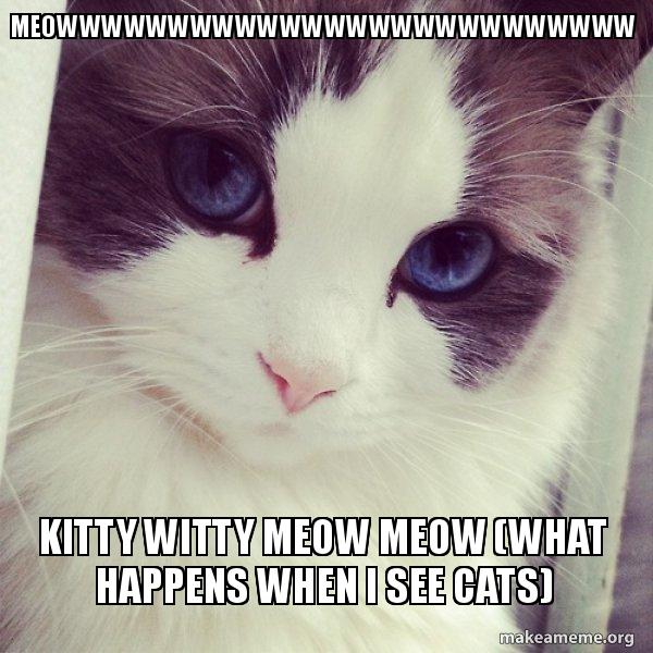 Meowwwwwwwwwwwwwwwwwwwwwwwwww Kitty witty meow meow (what happens when ...