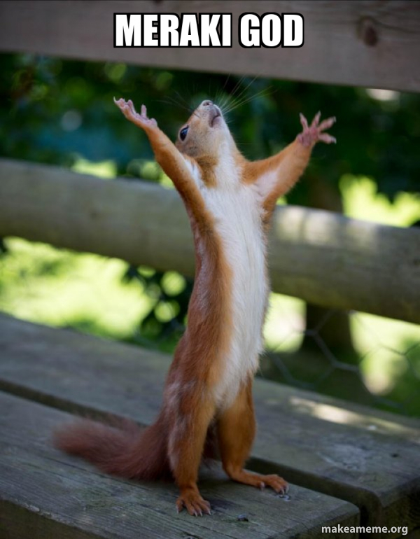 Meraki God - Happy Squirrel Meme Generator