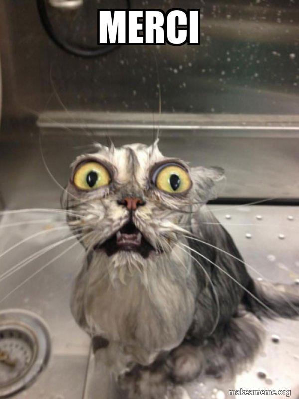 MERCI - Cat bath Meme Generator