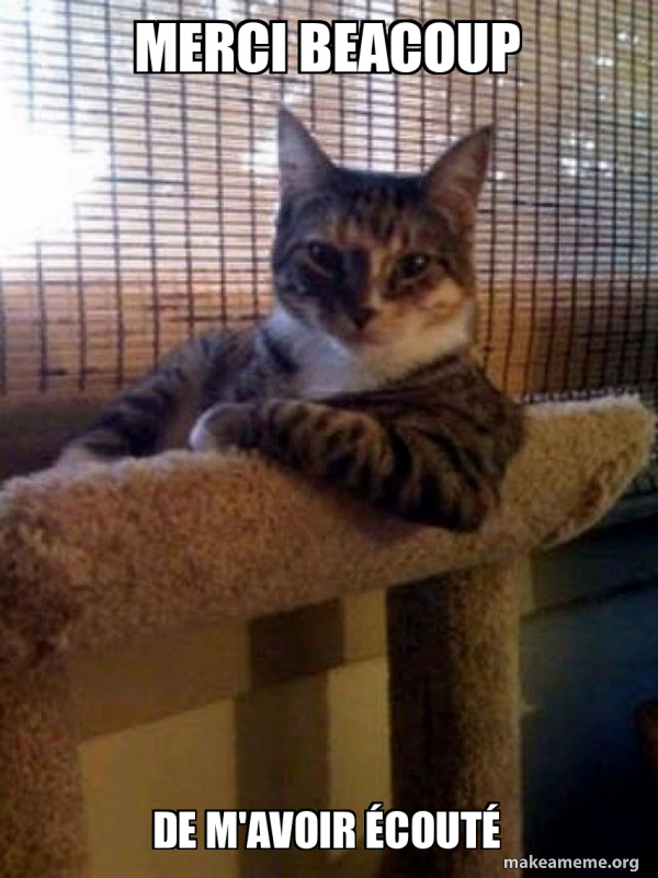 MERCI BEACOUP de m'avoir écouté - The Most Interesting Cat in the World ...