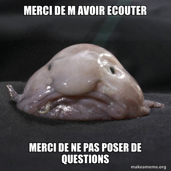 merci de m avoir ecouter merci de ne pas poser de questions - Blobfish ...