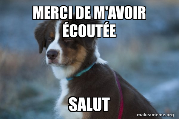 Merci de m'avoir écoutée salut - Unsure Dog Meme Generator