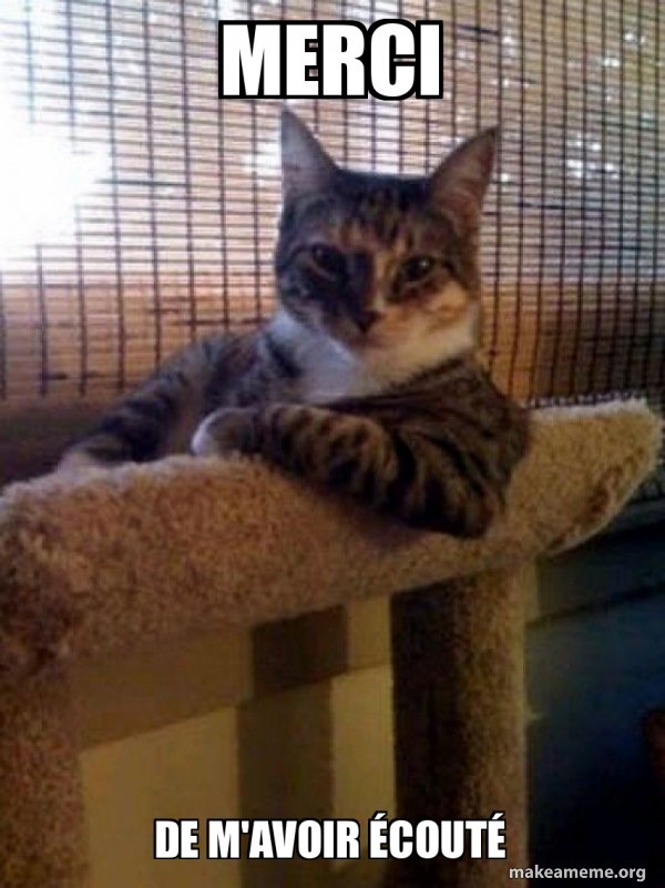 MERCI DE M'AVOIR ÉCOUTÉ - The Most Interesting Cat in the World Meme ...