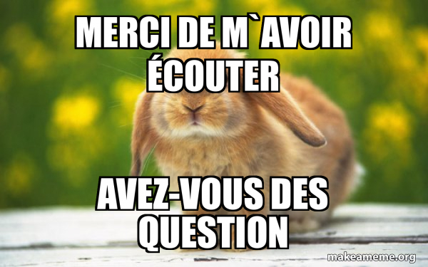 merci de m`avoir écouter avez-vous des question - Regretful Rabbit Meme ...