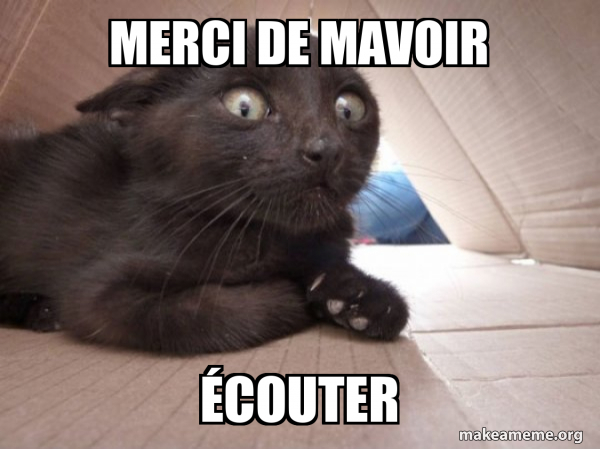 merci de mavoir écouter - Schitzo Cat Meme Generator