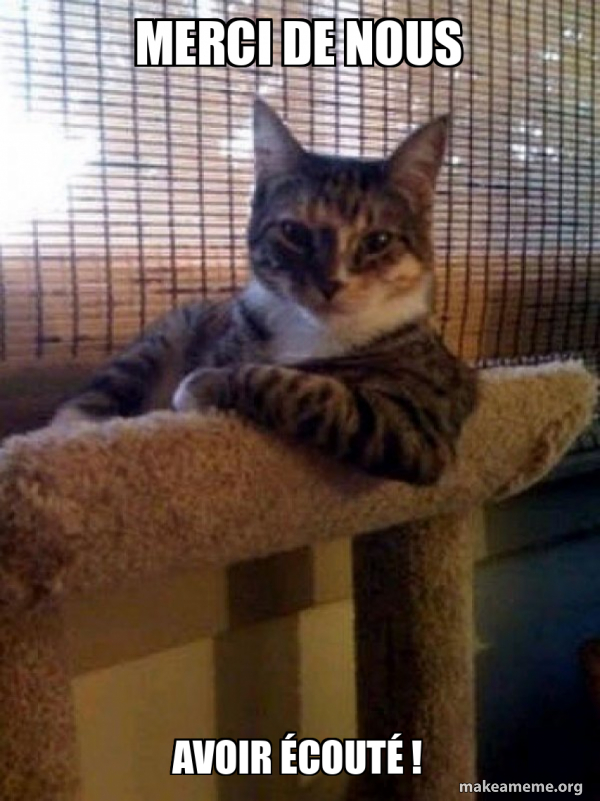 merci de nous avoir écouté ! - The Most Interesting Cat in the World ...