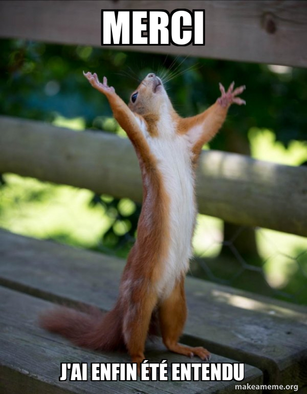 Merci j'ai enfin été entendu - Happy Squirrel Meme Generator