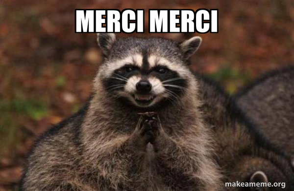 merci merci - Evil Plotting Raccoon Meme Generator