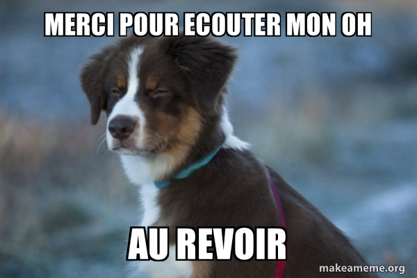 MERCI POUR ECOUTER MON OH AU REVOIR - Unsure Dog Meme Generator