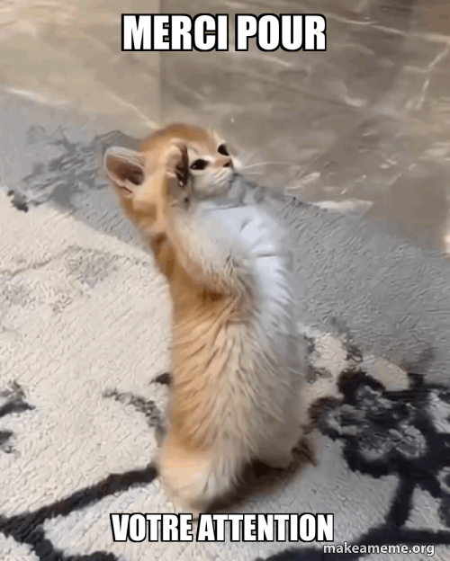 Merci pour VOTRE ATTENTION Meme Generator
