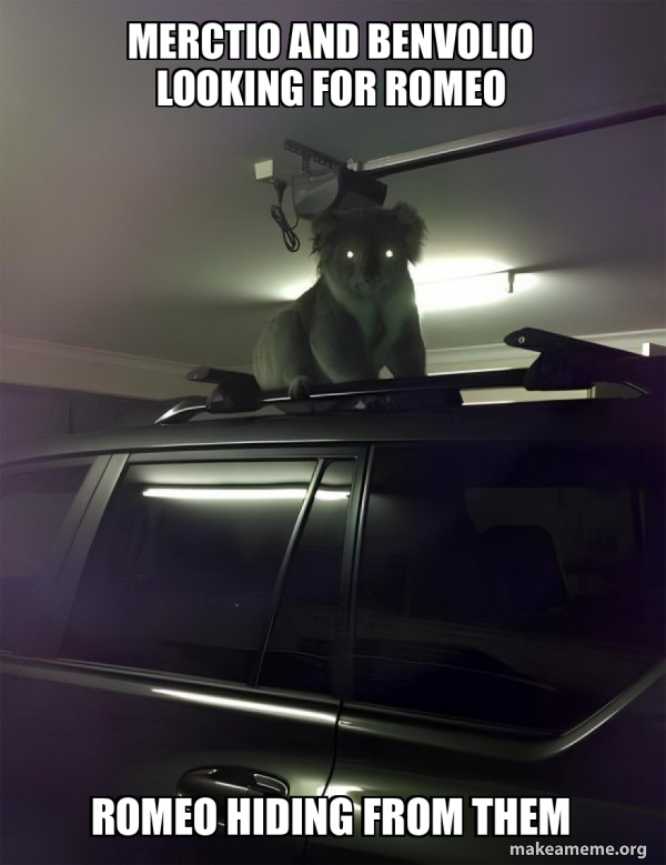 Merctio and Benvolio looking for Romeo Romeo hiding from them - Drop ...