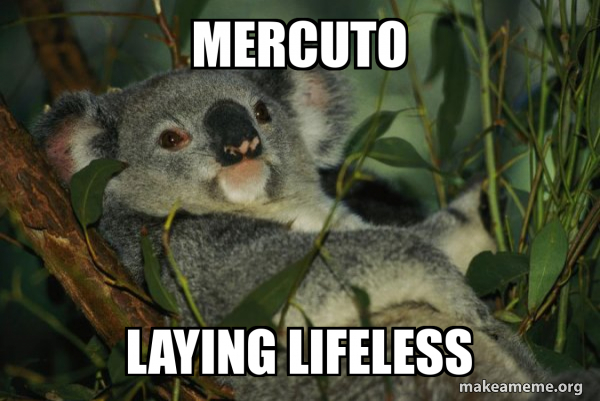 MERCUTO LAYING LIFELESS - Laid Back Koala Meme Generator
