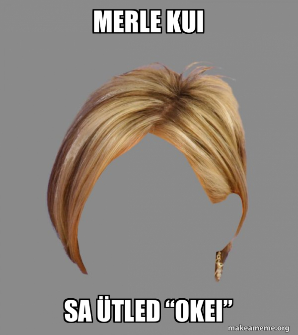 Merle kui Sa ütled “okei” - The Karen Hair Meme Generator