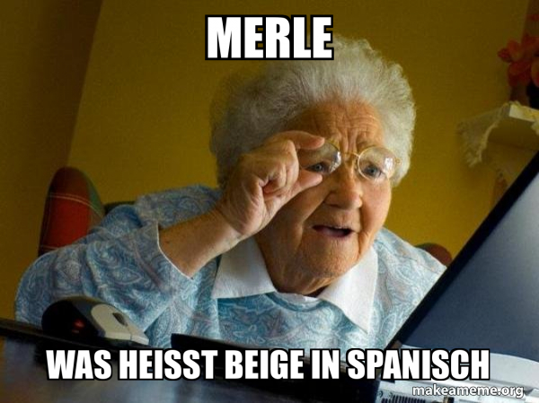Merle Was heißt beige in spanisch - Internet Grandma Meme Generator