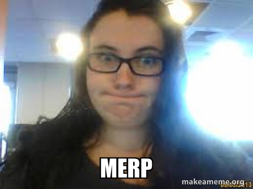 MERP Meme Generator