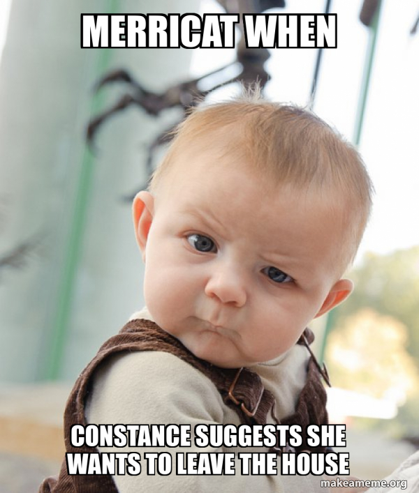Merricat when Constance suggests she wants to leave the house ...