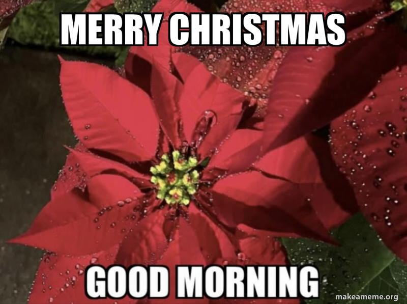 Merry Christmas Meme Generator