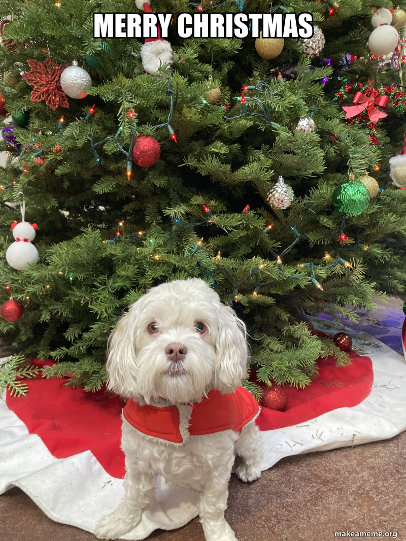 Merry Christmas Meme Generator
