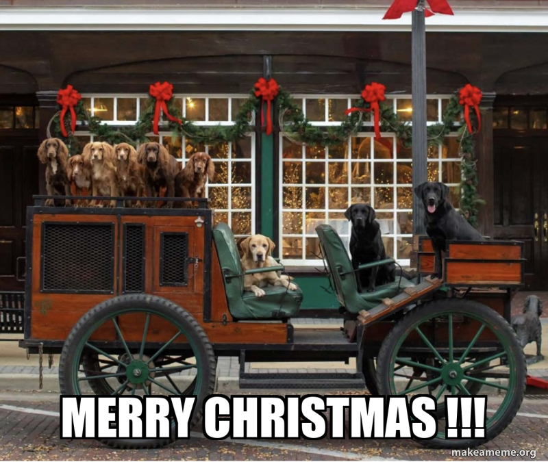 MERRY CHRISTMAS !!! Meme Generator