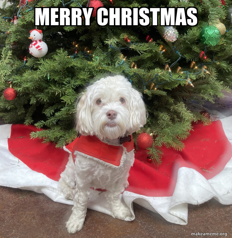 Merry Christmas Meme Generator