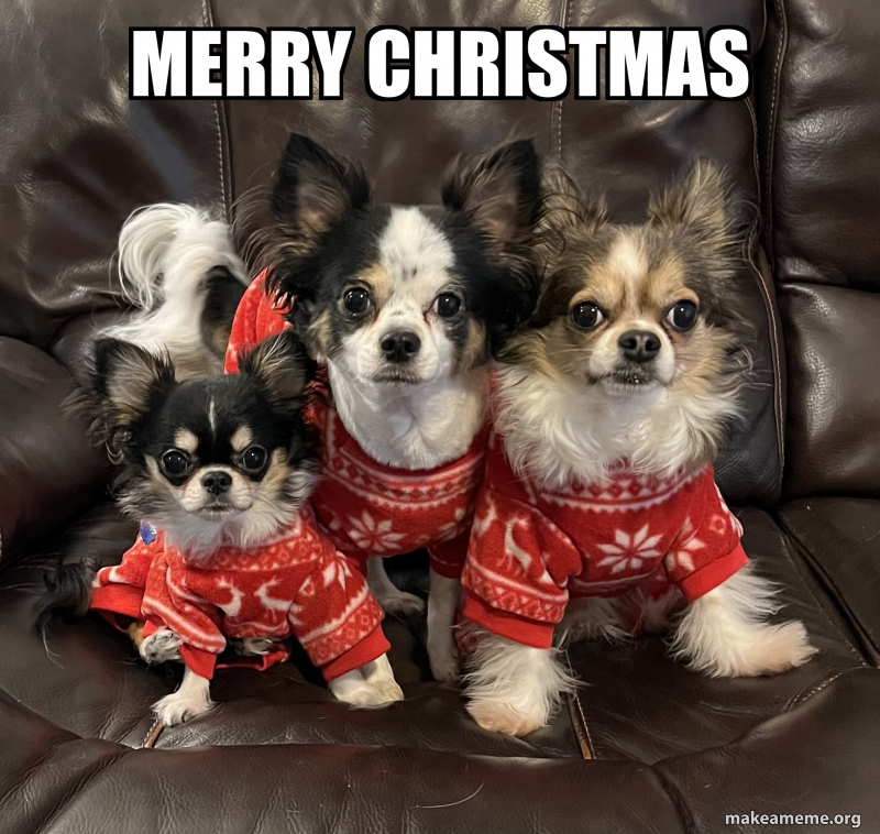 Merry Christmas Meme Generator