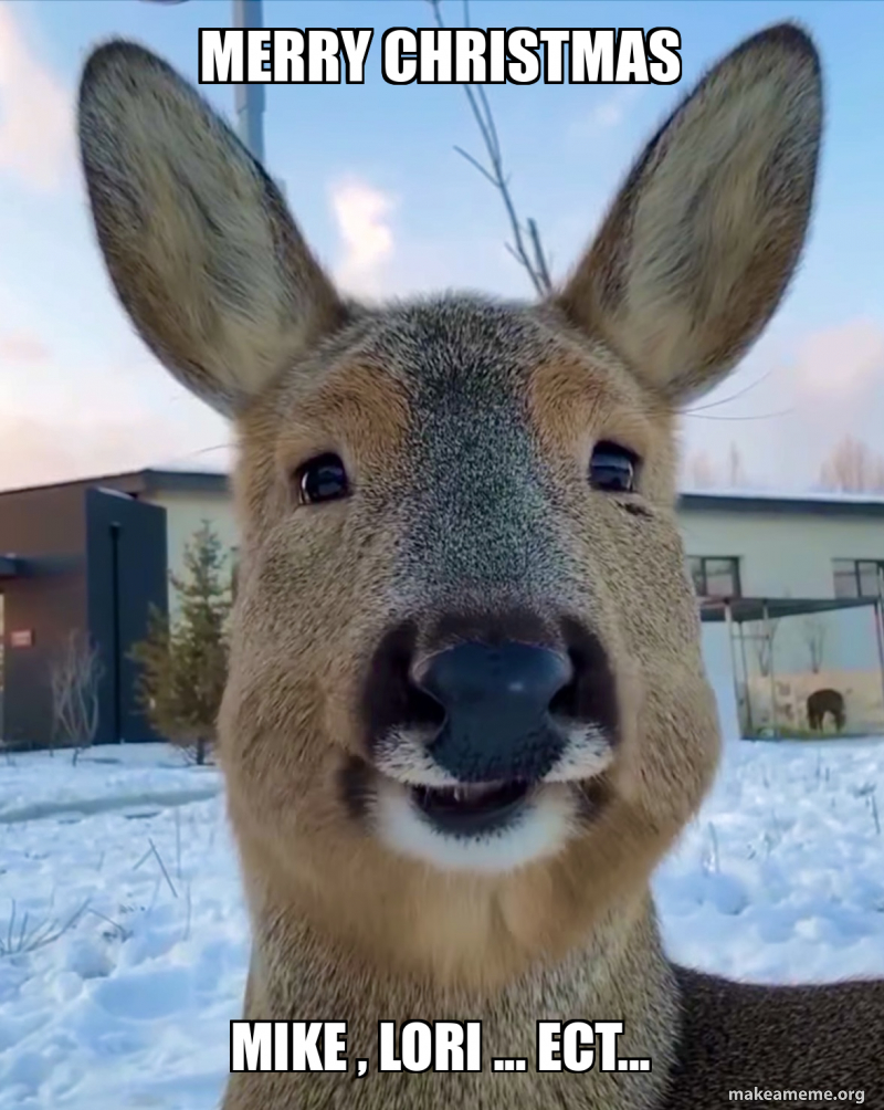 Merry Christmas Mike , lori ... ect... Meme Generator