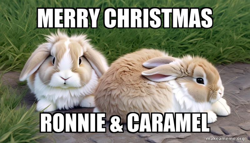 MERRY CHRISTMAS RONNIE & CARAMEL Meme Generator
